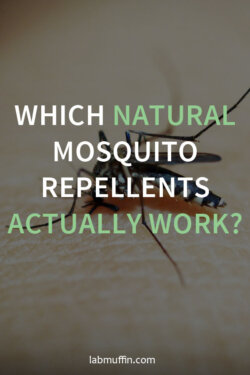Which Natural Mosquito Repellents Actually Work? | Lab Muffin Beauty ...