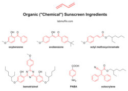 Why Do I Need to Apply Sunscreen Before Sun Exposure? | Lab Muffin ...