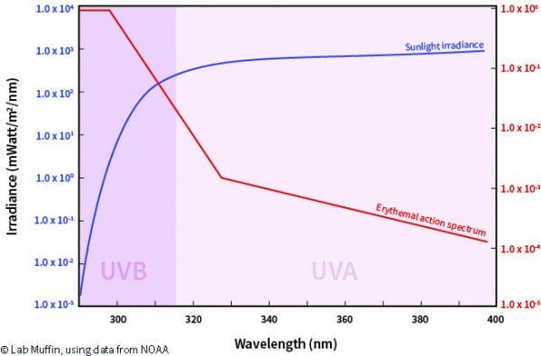 What Does SPF Mean? The Science of Sunscreen | Lab Muffin Beauty Science