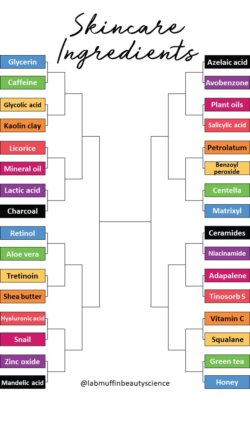 Top Skincare Ingredient? Skincare Bracket | Lab Muffin Beauty Science