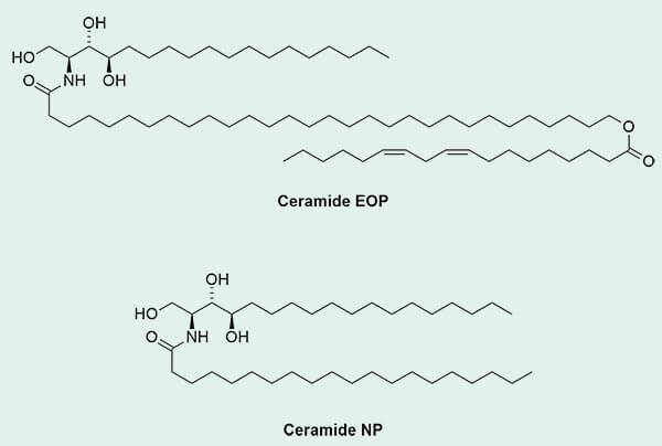 Ceramides in Skincare: QV Intensive with Ceramides Range | Lab Muffin ...