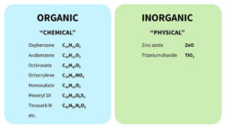 How Do Sunscreens Work? The Science | Lab Muffin Beauty Science