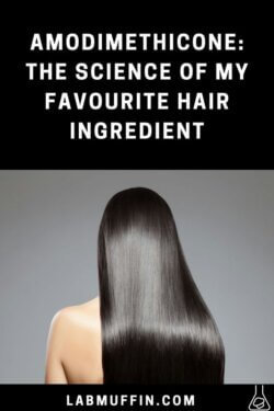 Amodimethicone: The Science of My Favourite Hair Ingredient | Lab ...