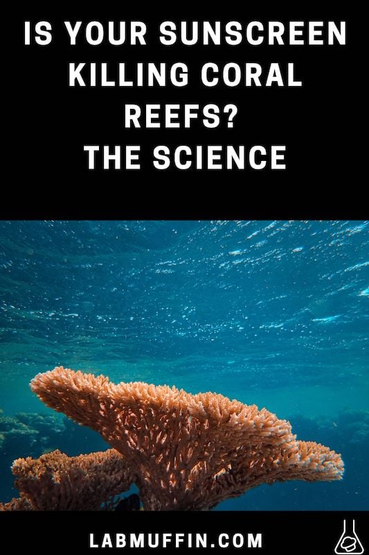 Is Your Sunscreen Killing Coral Reefs? The Science | Lab Muffin Beauty ...