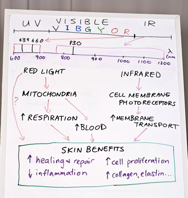 The science of red light masks | Lab Muffin Beauty Science