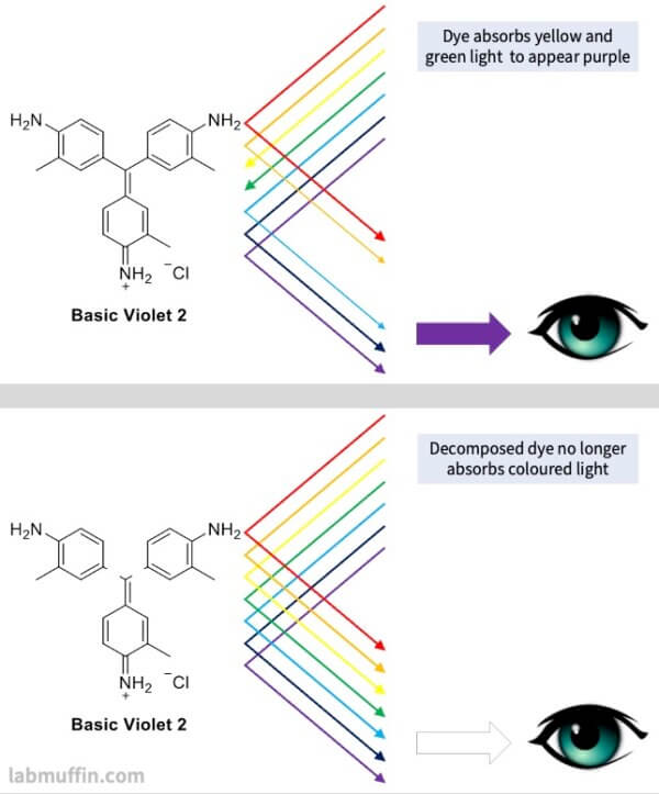 Fading Hair Dye With Low Damage | Lab Muffin Beauty Science